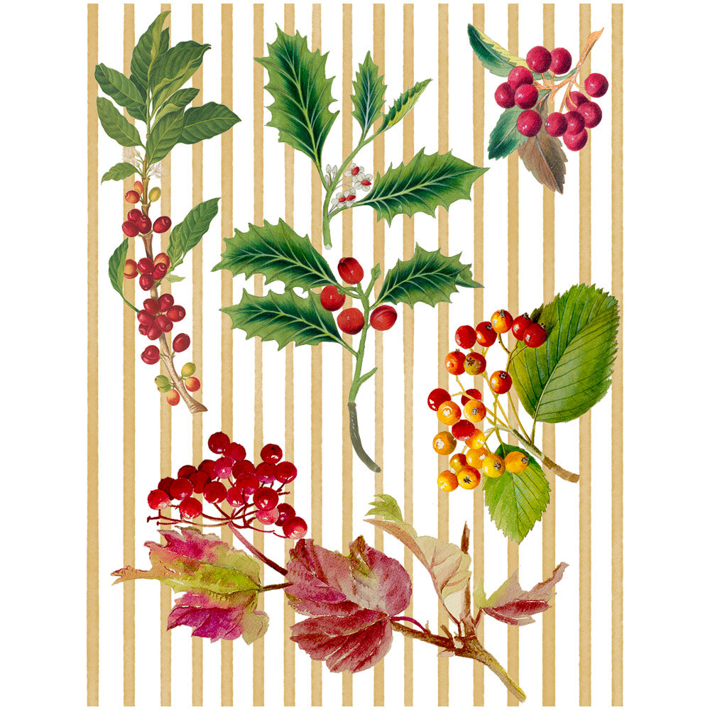 Berry Botanical Holiday Cards, BLANK in Cello Pack - 5 cards & 5 envel ...